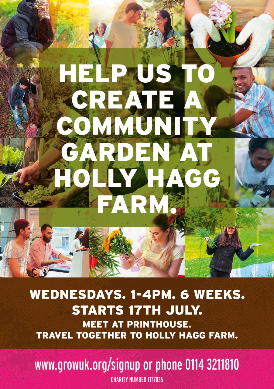 Grow Summer Sessions - Grow