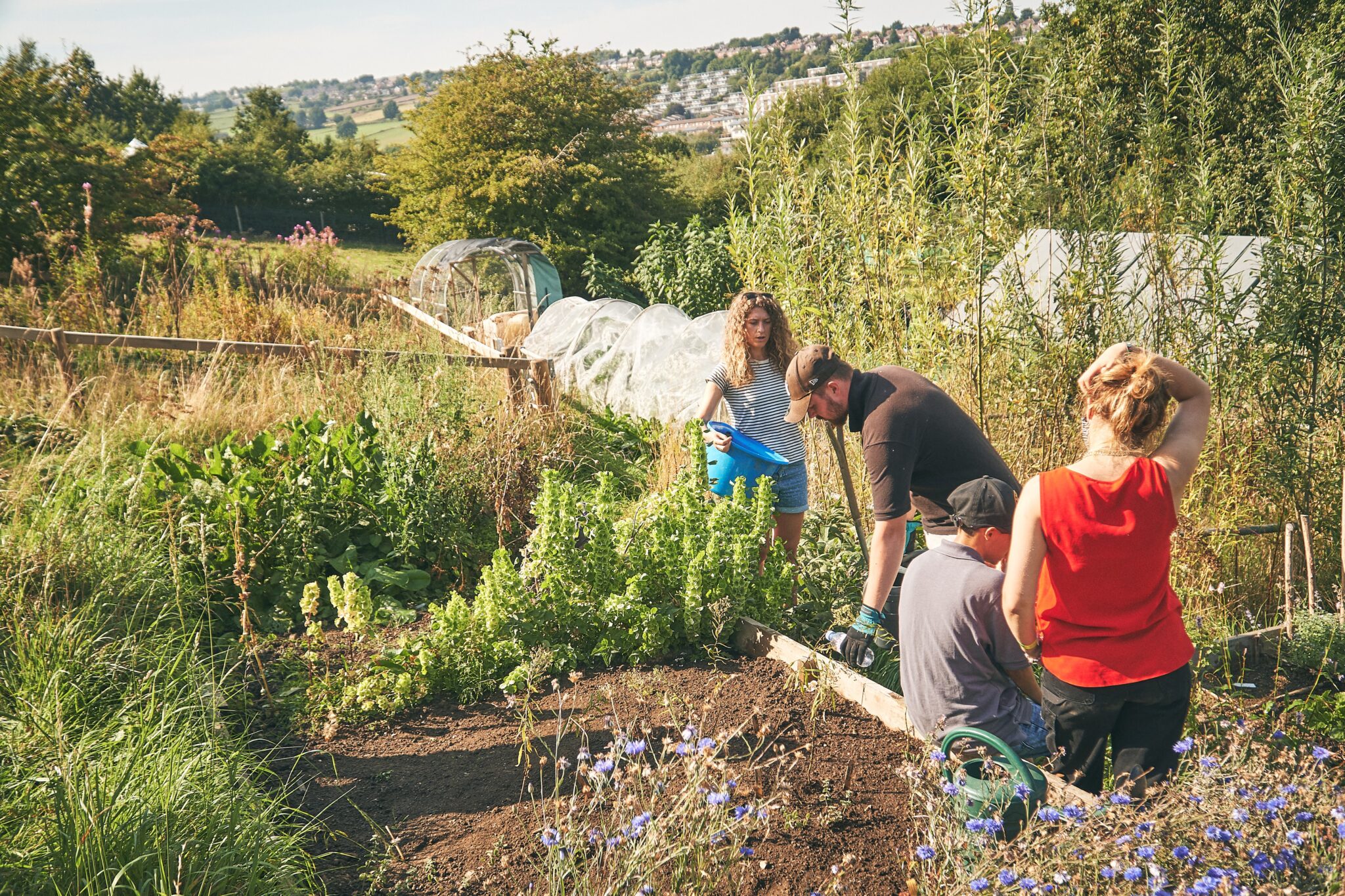 We're hiring - Grow Gardeners Team Leader Position Available - Grow