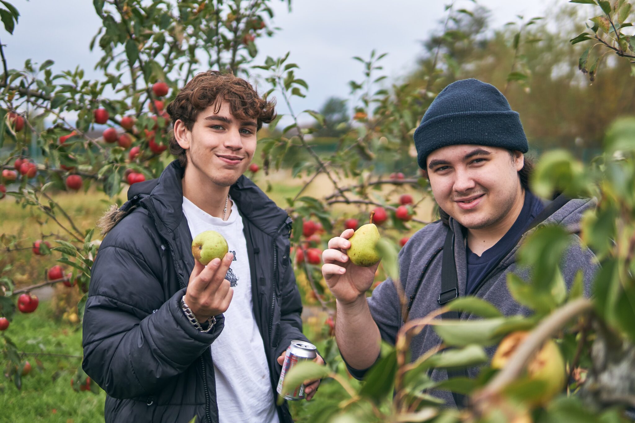 Our impact - Grow